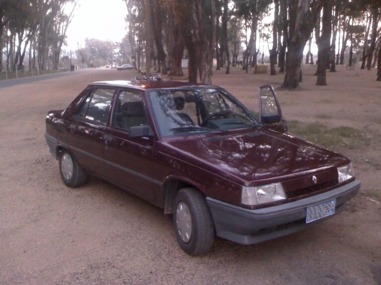 Renault 9: Icono Revolucionario de Renault | Todo Renault